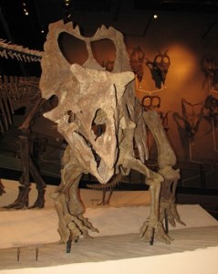 Natural History Museum of Utah, Salt Lake City, UT – Allosaurus Roar