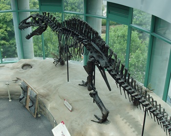 Allosaurus Roar’s Top Twenty-Five North American Dinosaur Museums ...