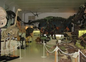 Allosaurus Roar’s Top Twenty-Five North American Dinosaur Museums ...
