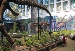 Allosaurus Roar’s Top Allosaurus Displays – Allosaurus Roar