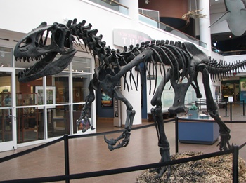 Allosaurus Roar’s Top Dozen Allosaurus Displays – Allosaurus Roar