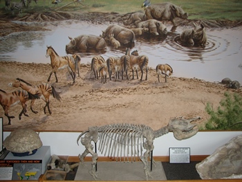 Ashfall Fossil Beds State Park, Orchard, NE – Allosaurus Roar