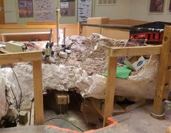 Ghost Ranch Ruth Hall Museum of Paleontology, Abiquiu, NM – Allosaurus Roar