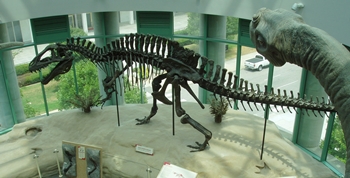 Acrocanthosaurus – Allosaurus Roar