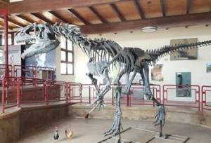 Jurassic National Monument/Cleveland-Lloyd Dinosaur Quarry, near ...